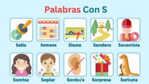 Guía Completa de Palabras con S: Ejemplos, Reglas y Curiosidades